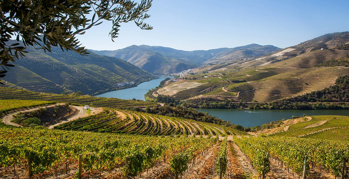 Quinta de Ventozelo - Porto Cruz